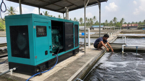 Solusi Andal Genset untuk Industri Perikanan - PT Tehnik Unggul Listrindo